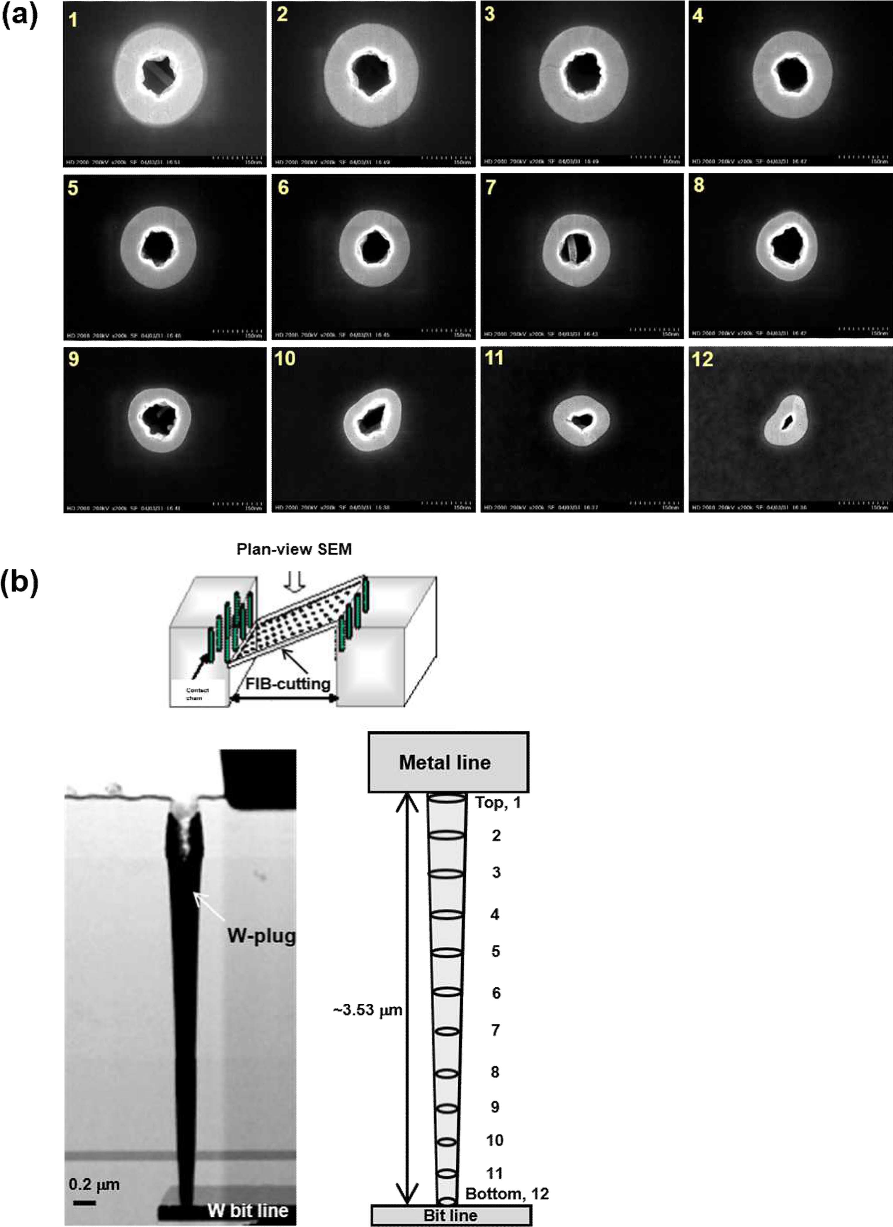 Application of Pulsed Chemical Vapor Deposited Tungsten Thin Film as a ...
